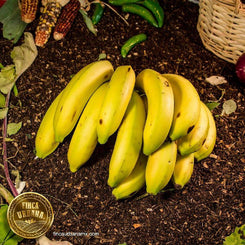 Plátano manzano orgánico ( 500g) – Finca Urbana